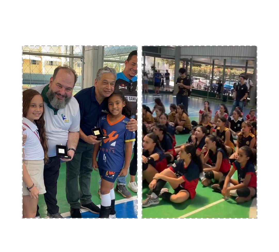 FESTIVAL MIRIM BRASILIENSE DE INCLUSÃO SOCIAL - FVDF - INGRESSOS